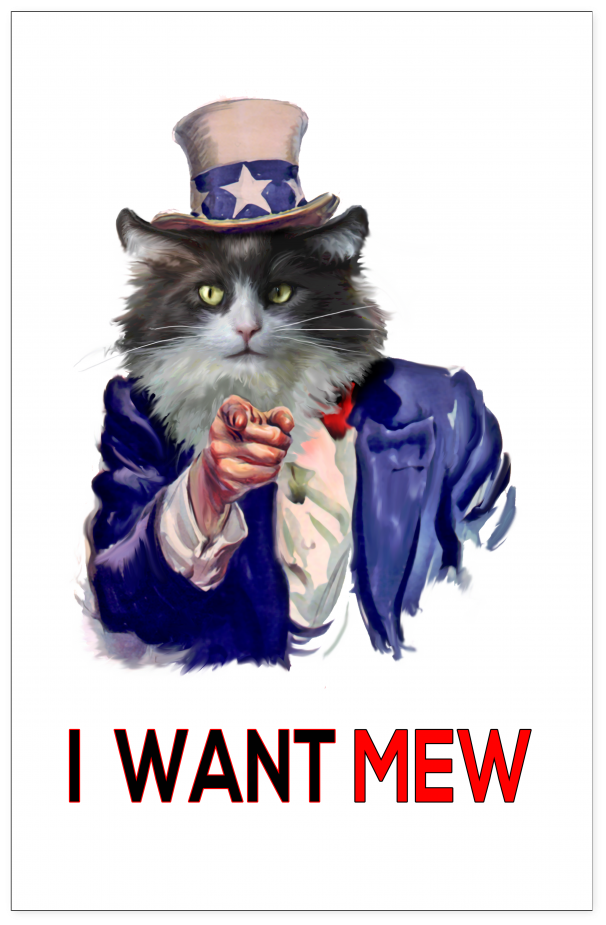 Uncle Sam I Want You Blank