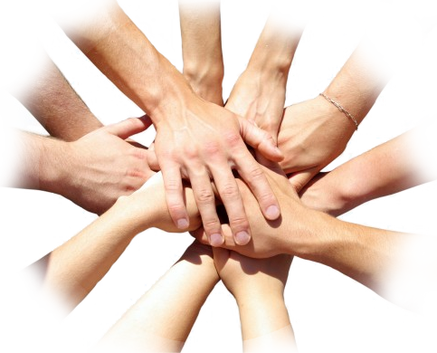 Download Gallery Clip Library - Unity Hands Png - HD Transparent PNG ...