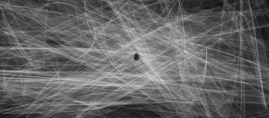 Download Spider Web Texture Png - Monochrome - HD Transparent PNG ...