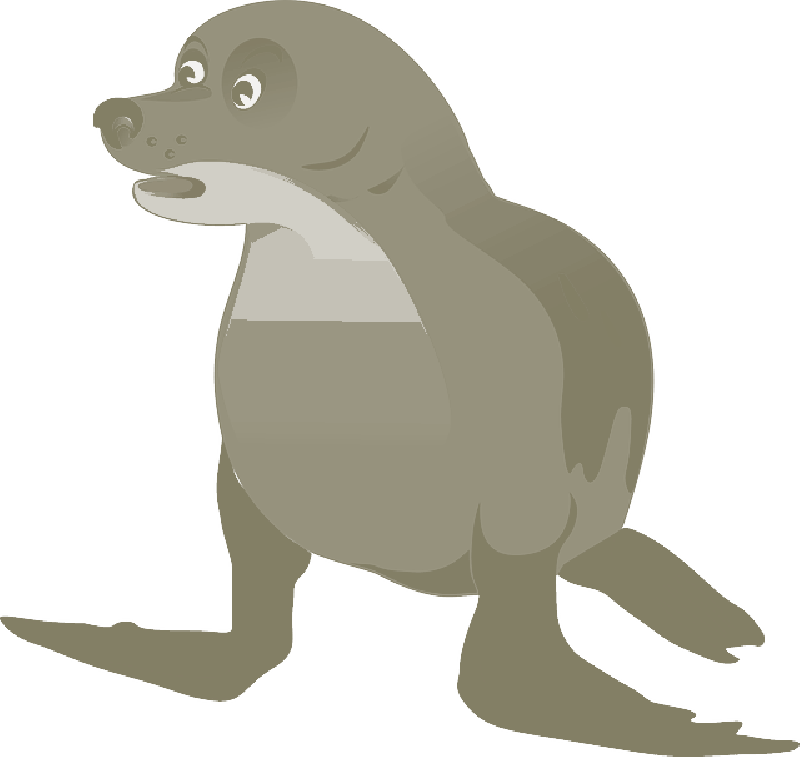 Download HD Mb Image/png - Pinniped Transparent PNG Image - NicePNG.com