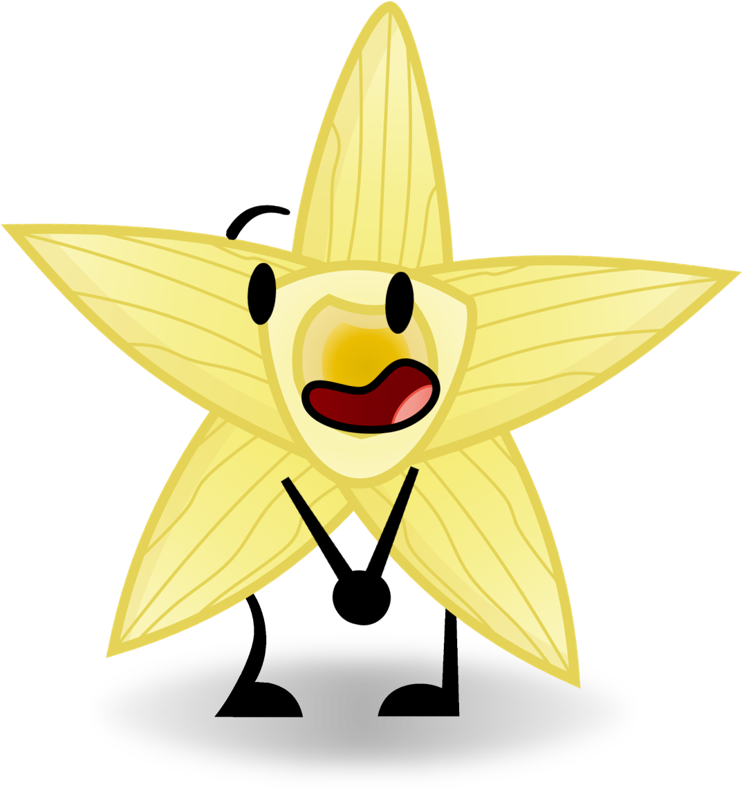 Download HD Vanilla - Wiki Transparent PNG Image - NicePNG.com