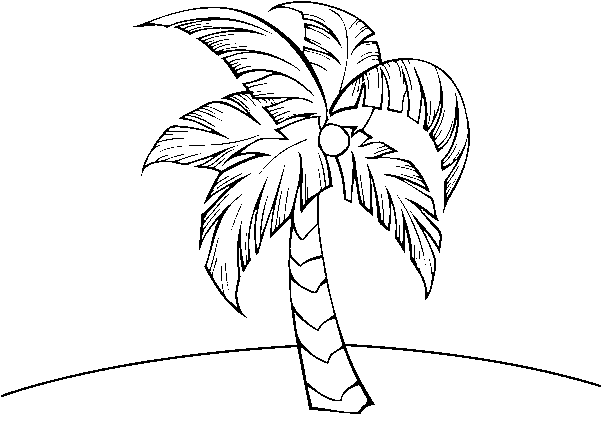 Download HD Dibujo De Una Palmera Para Colorear - Palmeras Para ...