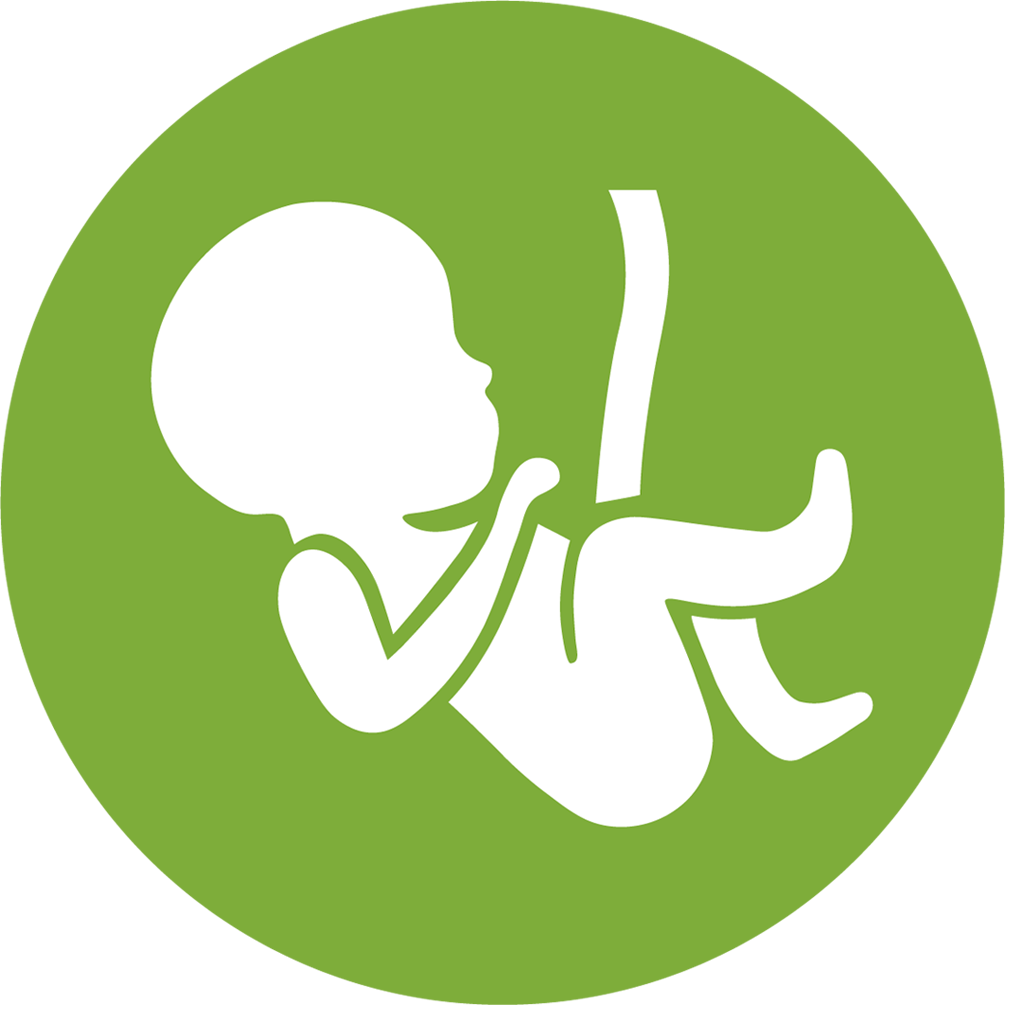 Download HD Obs - Gynaecology & Obstetrics Icon Transparent PNG Image ...