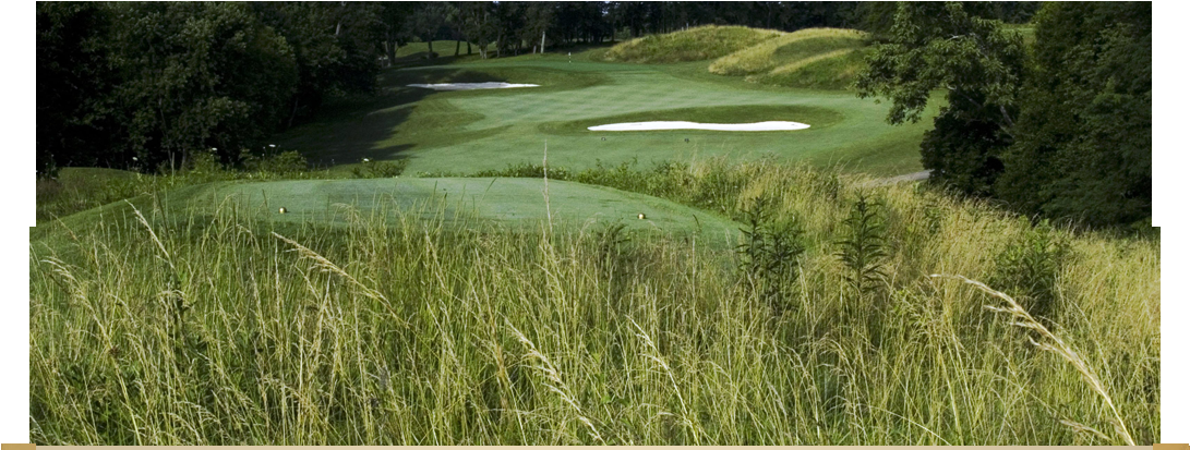 Download HD Golf Club Png Transparent PNG Image - NicePNG.com