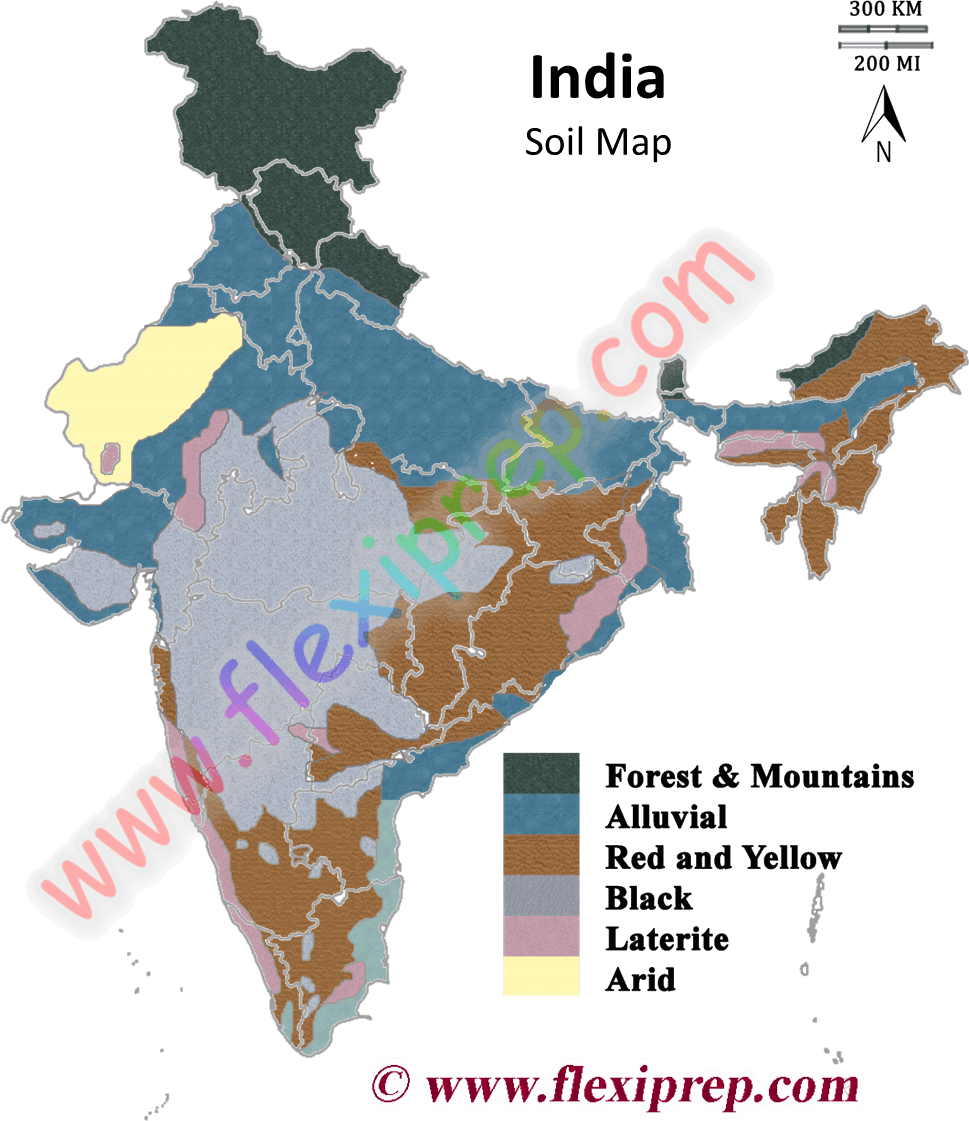 Download Soil Map Of India - India Map Vector Png - HD Transparent PNG ...