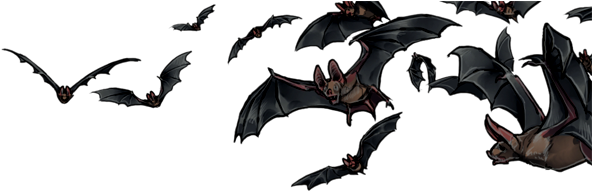 Download A Swarm Of Bats Is Enjoying A Midnight Snack - Swarm Of Bats ...