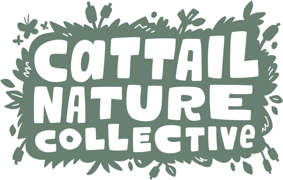 Download HD Cattail - Color - Illustration Transparent PNG Image ...