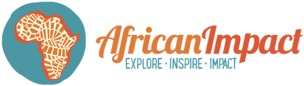 Download HD African Impact Transparent PNG Image - NicePNG.com