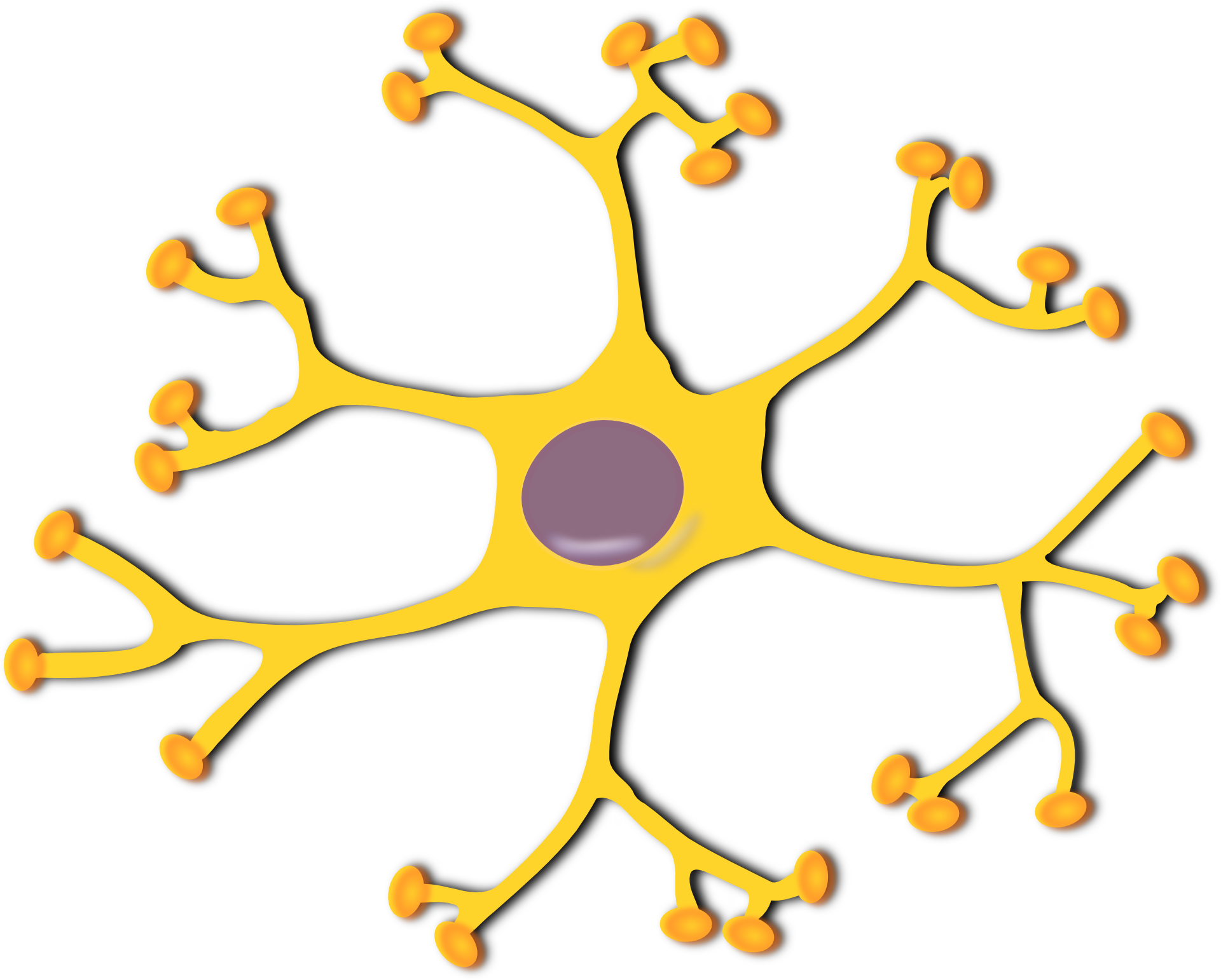Download Pixabay Neuron - Neuron Png - HD Transparent PNG - NicePNG.com