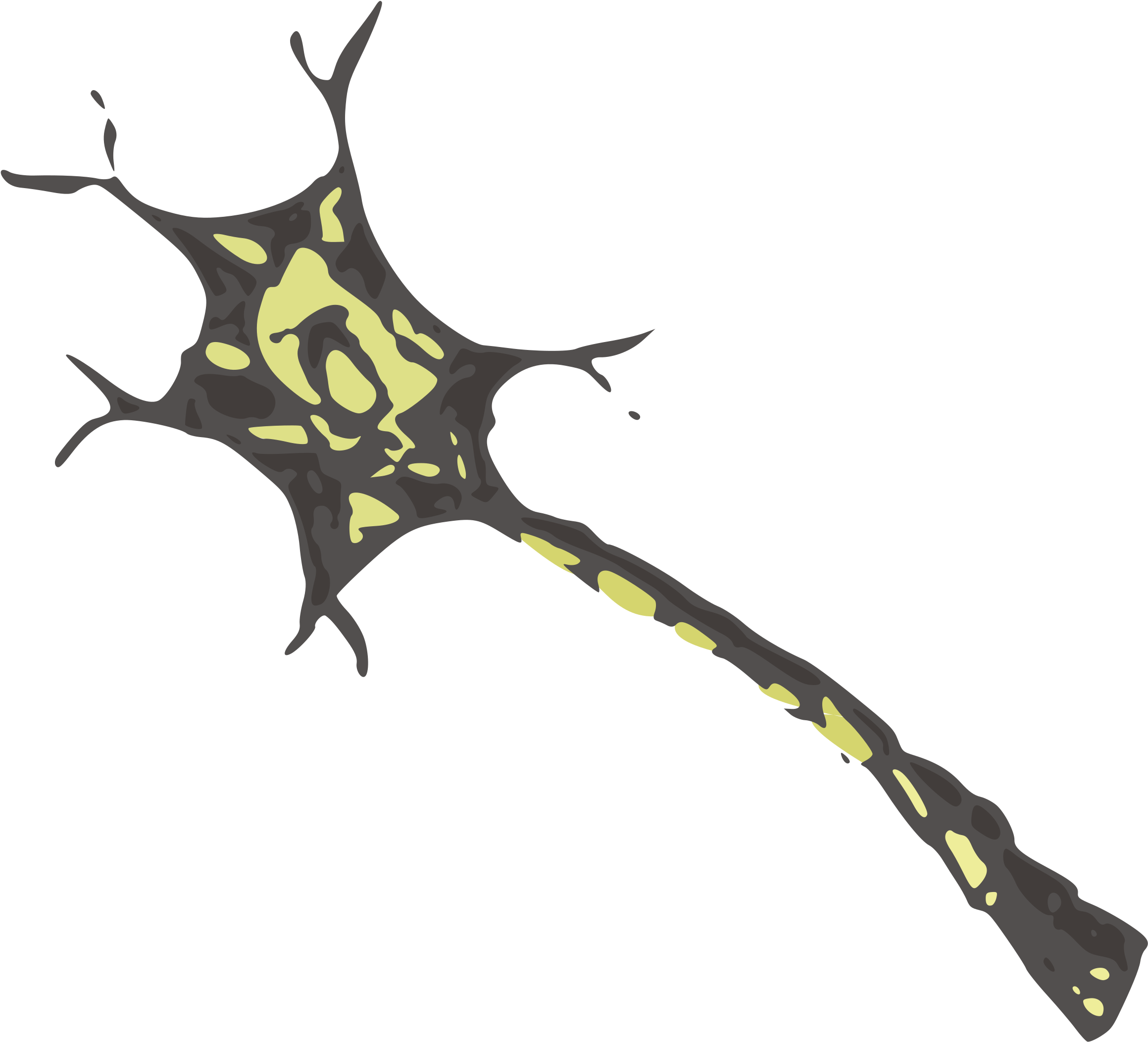 Download HD Neuron Png Transparent PNG Image - NicePNG.com