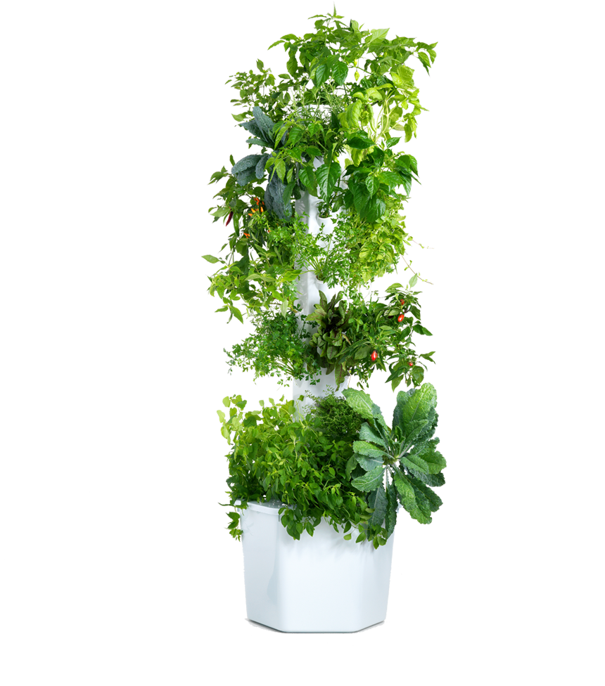 Download HD Asgo 2018 Transparent PNG Image - NicePNG.com