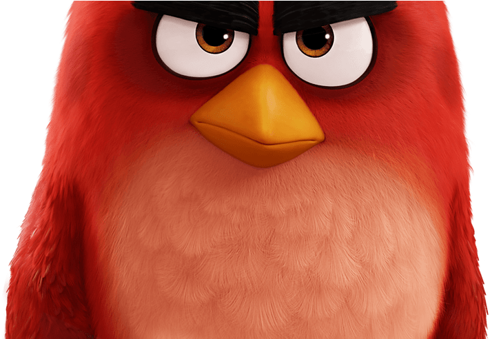 Download HD Red Bird The Angry Birds Movie Png Transparent Image - Film ...