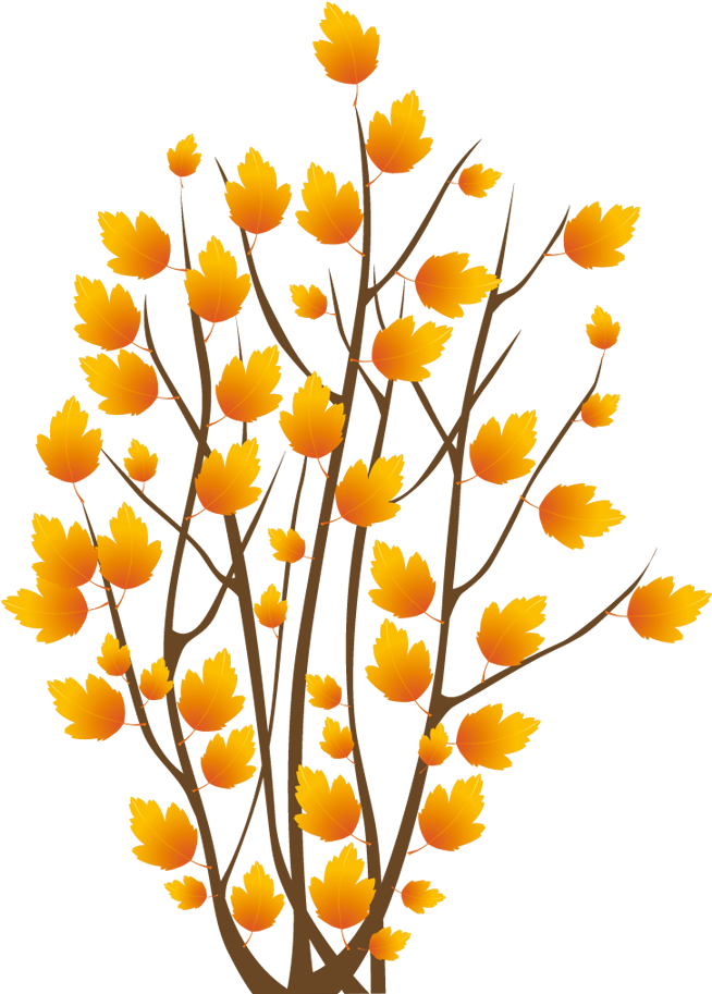 Download Fall Bush Png Clipart Image - Autumn Tree Png - HD Transparent ...