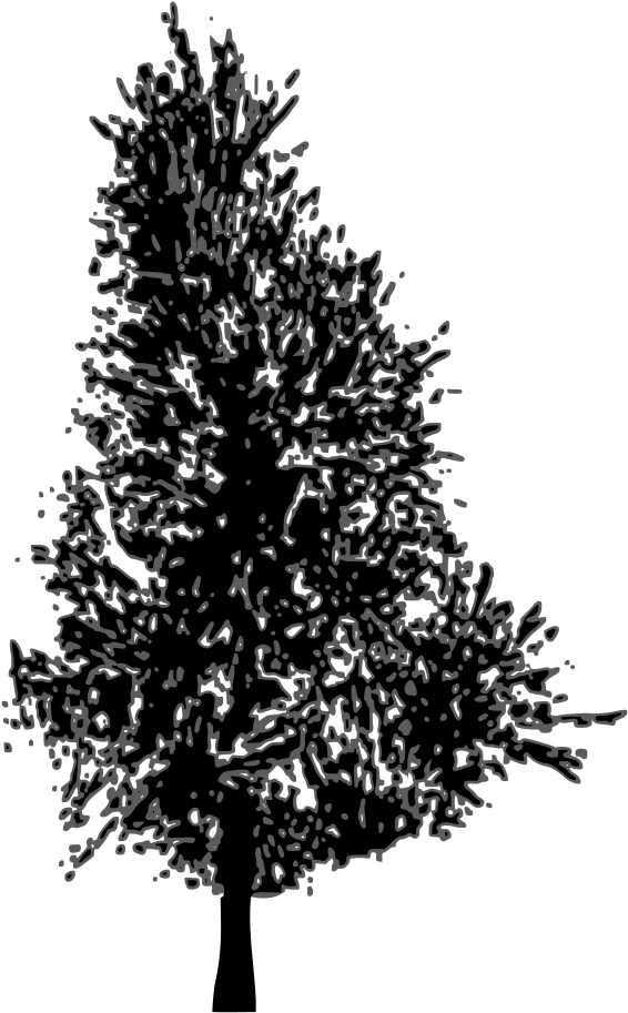 Download Pine Tree Vector - Tree Pine Silhuete Vector - HD Transparent ...
