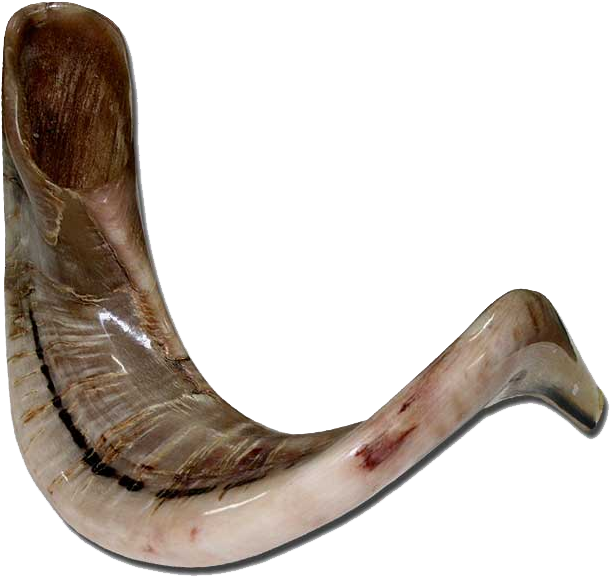Download HD Png Gold Icon Shofar Horn - Shofar Transparent Transparent ...