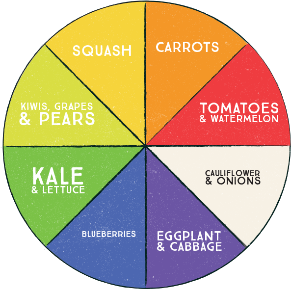 Download HD Vegetable Color Wheel - Colors Of Taste Transparent PNG ...