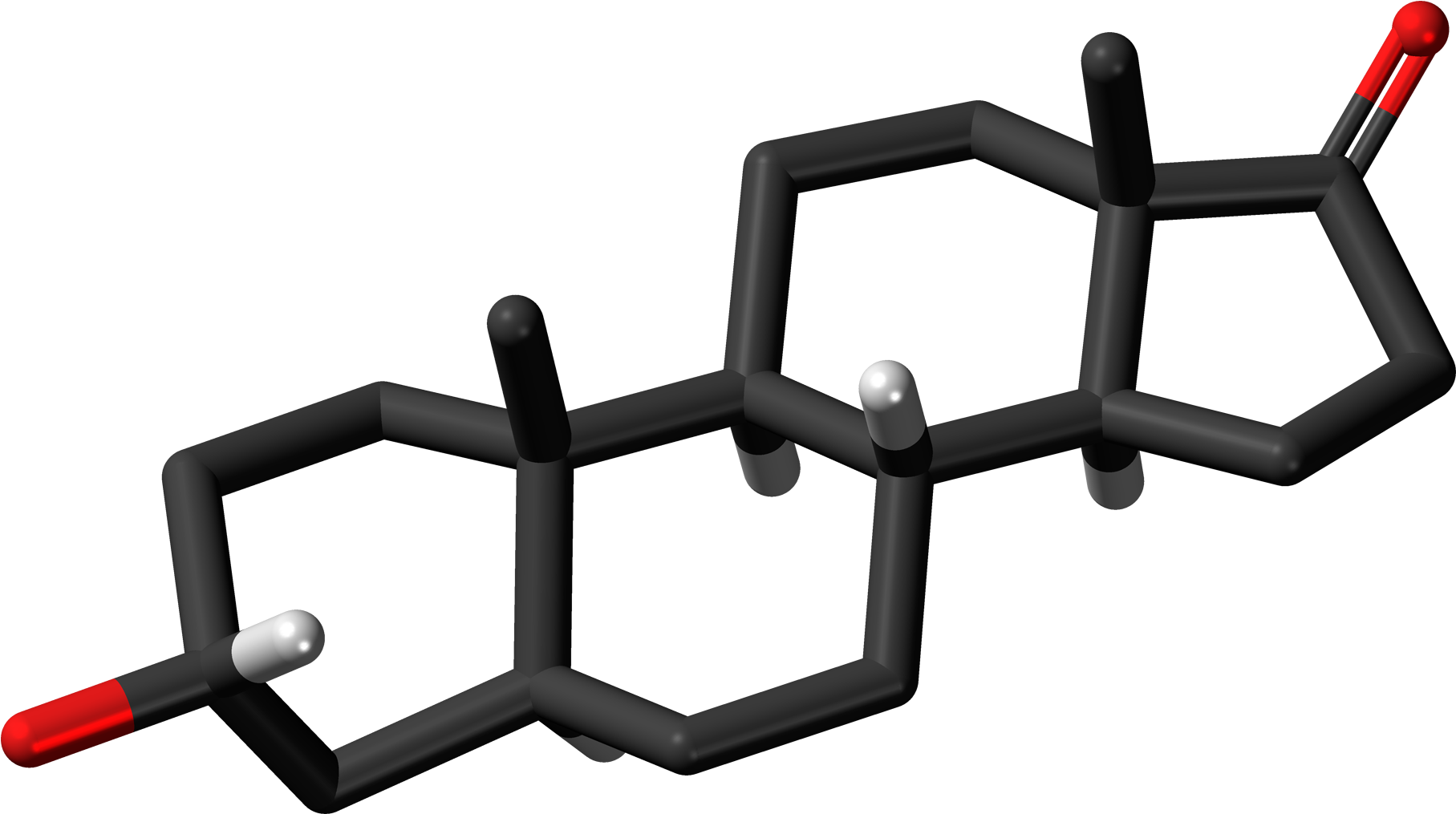 Download HD Androsterone 3d Skeletal Sticks - Steroid Transparent PNG ...