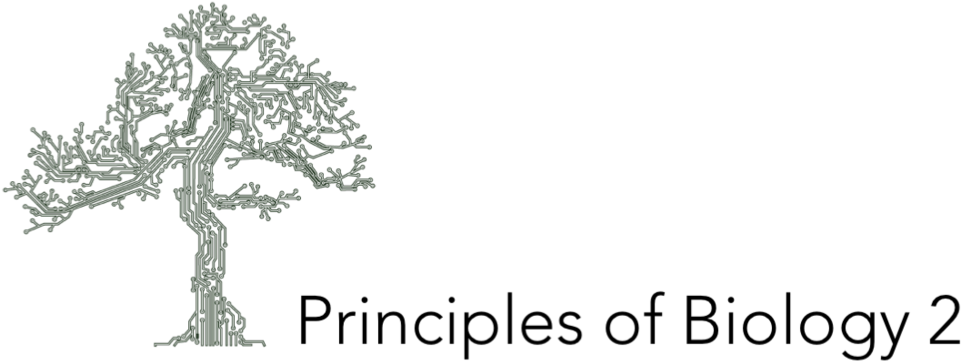 Download HD Picture2 - Biology Transparent PNG Image - NicePNG.com