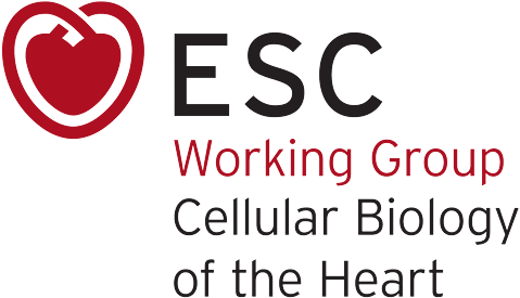 Download HD Esc Logo Transparent PNG Image - NicePNG.com