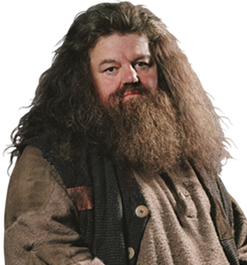 Download Photo - Hagrid Cutout - HD Transparent PNG - NicePNG.com