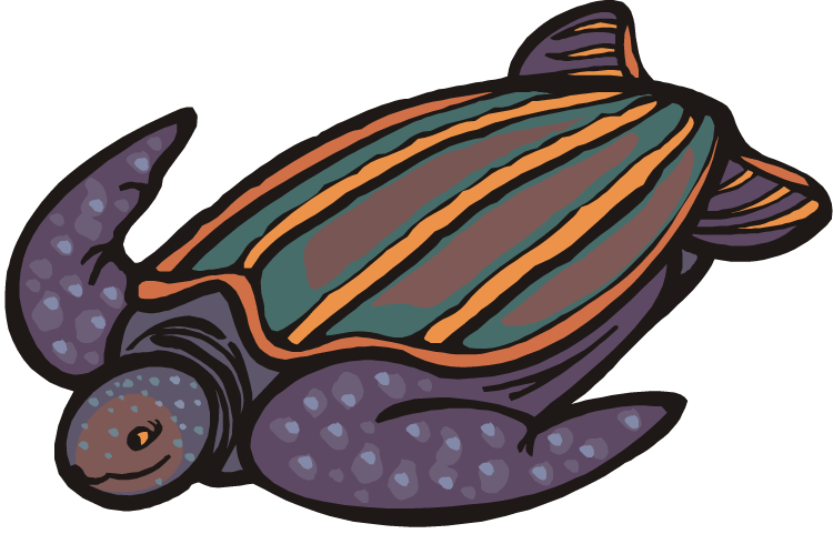 Download HD Back Clipart Sea Turtle - Sea Turtle Cartoon Png ...