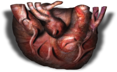 Download 06 Feb 2009 - Gore Png - HD Transparent PNG - NicePNG.com