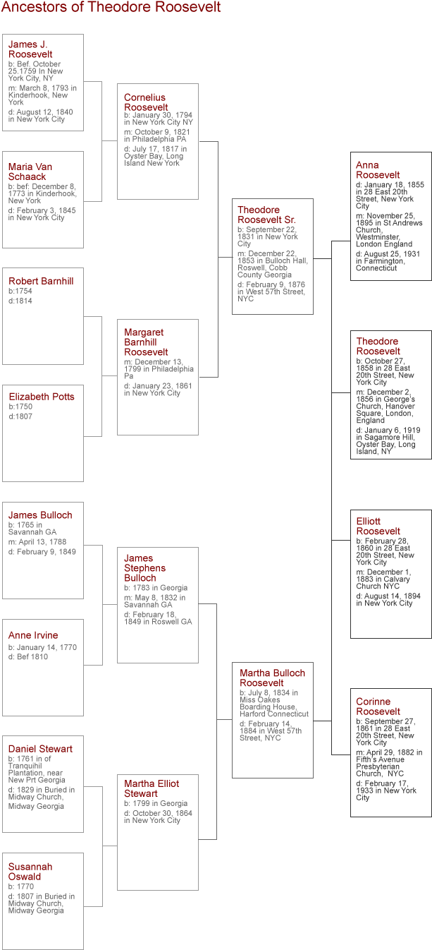 Download HD Genealogy Of Theodore Roosevelt - Theodore Roosevelt ...