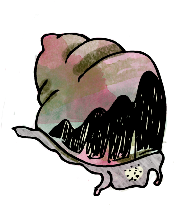 Download HD Doris Transparent PNG Image - NicePNG.com