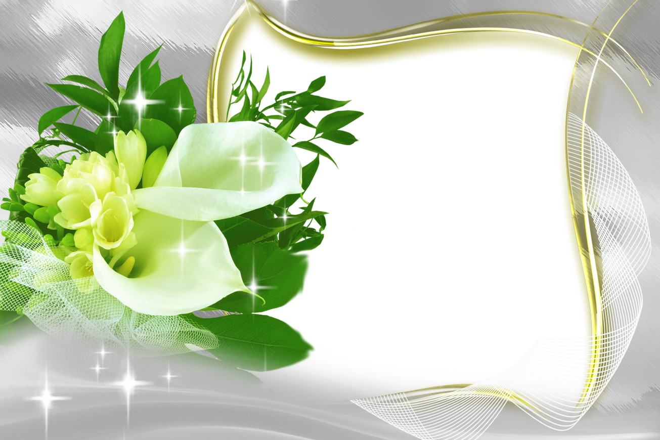 Download HD Nilachala Saraswata Sangha Transparent PNG Image - NicePNG.com