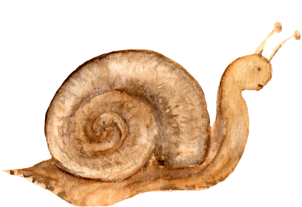 Download HD Report Abuse - Watercolor Painting Transparent PNG Image ...