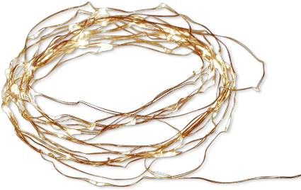 Download Firefly Fairy Light - Transparent Fairy Lights Png - HD ...