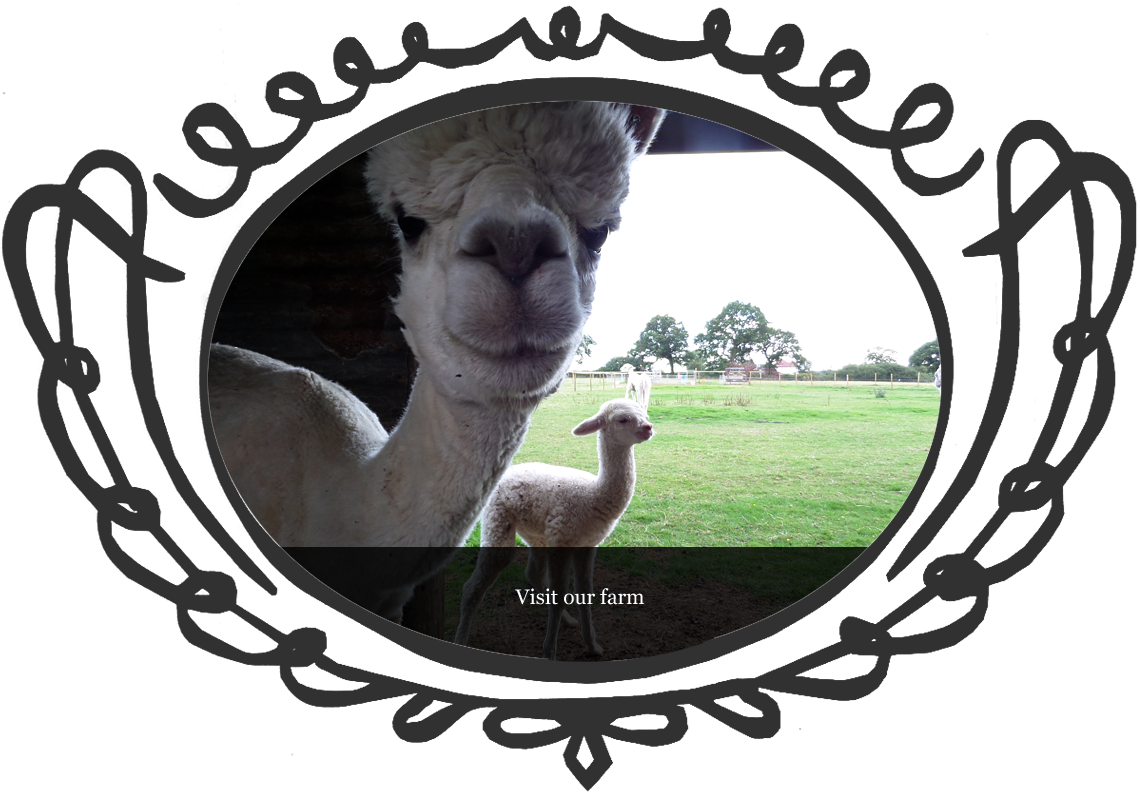 Download HD Lucky Tails Alpaca Farm Entry With Alpaca Walk For ...