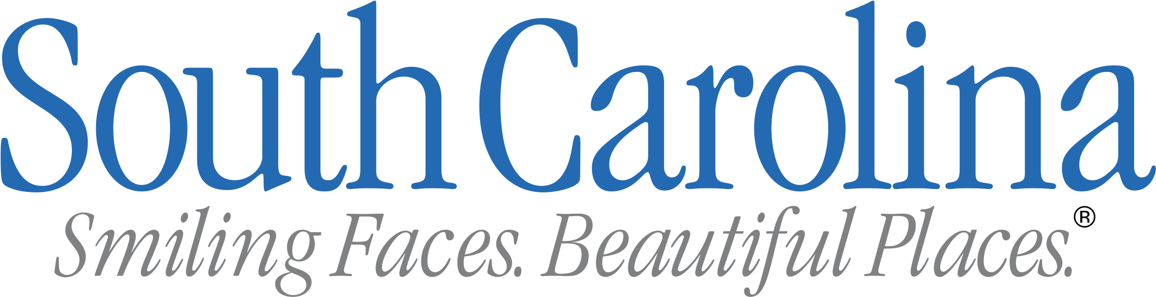 Download HD South Carolina Logo Png Transparent - License Plate Sc ...