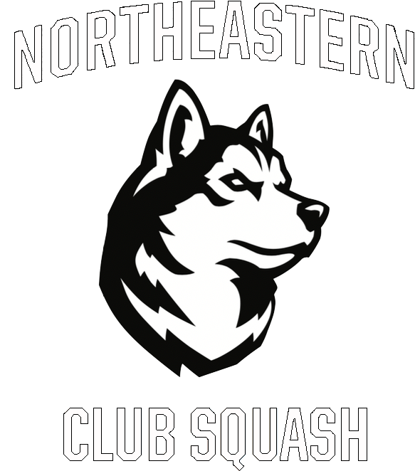 Download HD Nu Squash - Northeastern Husky Logo Transparent PNG Image ...