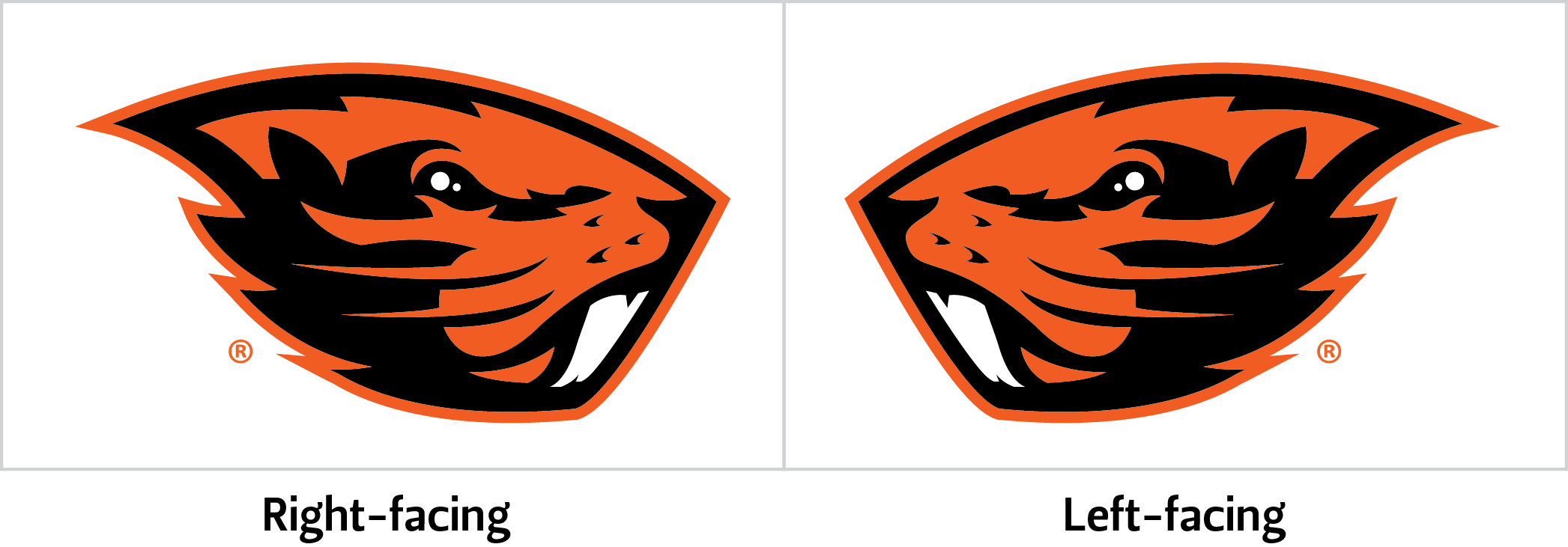 Download HD Beaver Logo Alignment - Oregon State Beavers Logo Png ...