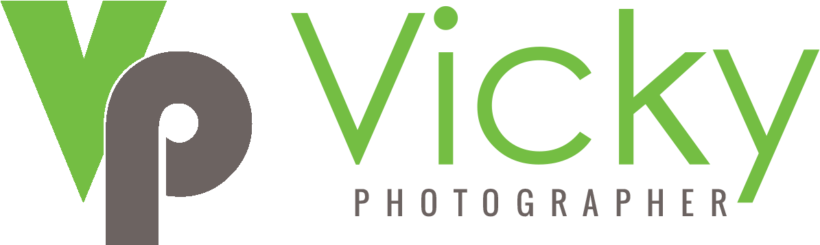 Download HD Great Photography - Vicky Photography Logo Transparent PNG ...