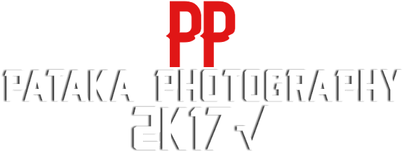 Download Pataka Name Logo - Orange - HD Transparent PNG - NicePNG.com