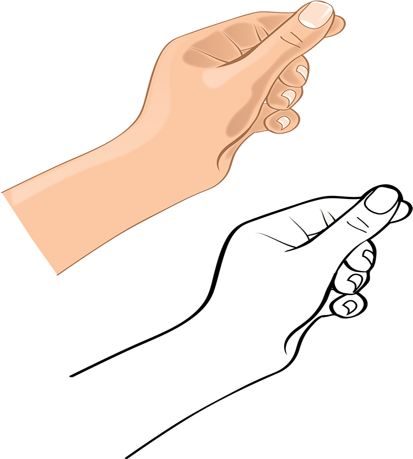 Download HD Vector Hand Wrist - Hand Transparent PNG Image - NicePNG.com
