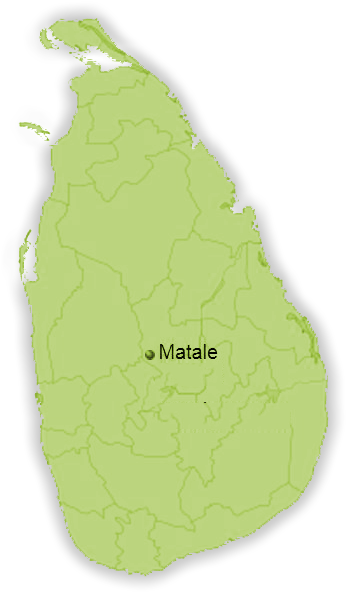 Download HD Aluvihare Temple Matale Sri Muttumariyamman Kovil Mathale ...