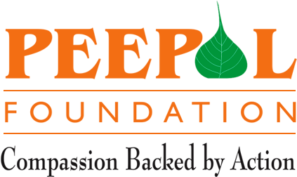 Download Peepal Foundation Logo - HD Transparent PNG - NicePNG.com