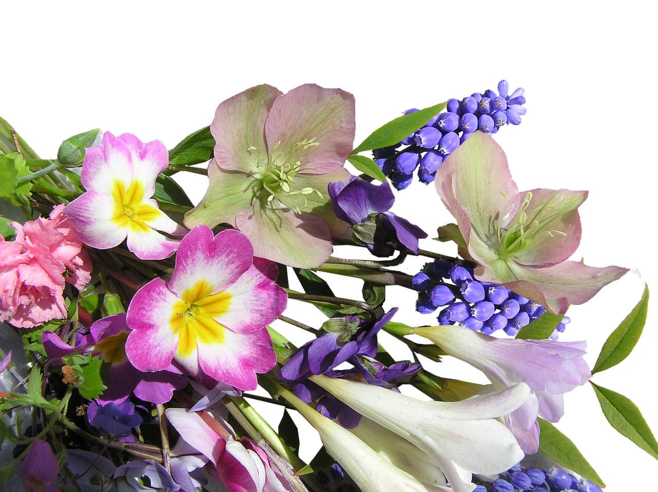 Download HD Flower Bunch Mixed - Flower Transparent PNG Image - NicePNG.com
