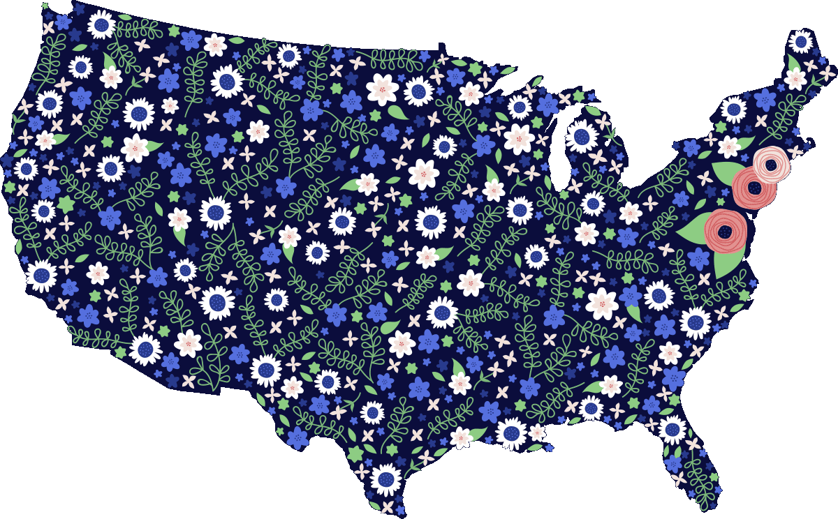 Download HD Illustrated Nationwide Map - 1932 Election Map By County ...