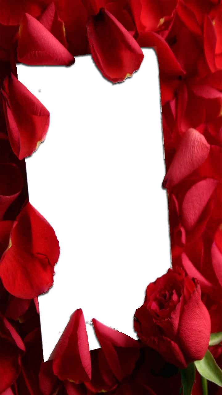 Download Love Frame With Red Roses - Transparent Red Roses Frames - HD ...