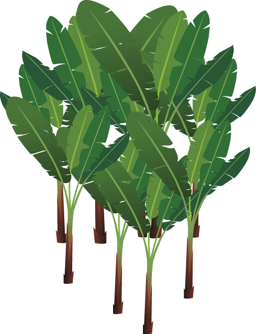 Download Abaca Png - Palm Tree - HD Transparent PNG - NicePNG.com