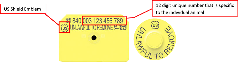 Download HD 840 Ear Tag With Management Number Printed On Bottom - 840 ...