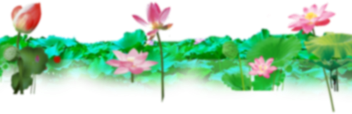 Download HD Wallpaper Banner Design - Lotus Png Transparent PNG Image ...