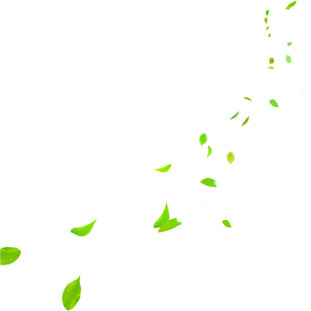 Download Green Leaves Falling Png - HD Transparent PNG - NicePNG.com