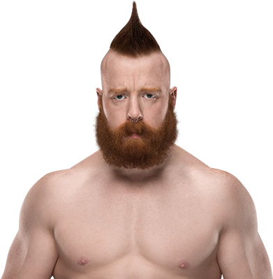 Download HD Sheamus Hellfire Wwe Theme Song Download - Patrick Cummins ...