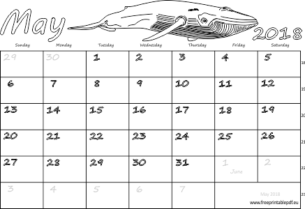 Download May 2018 Calendar Printable Free Download All Free - Calendar ...