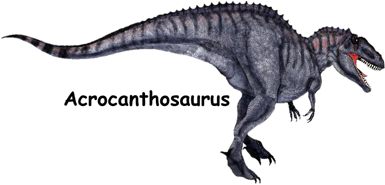 Download HD Acrocanthosaurus Color - Tyrannosaurus Transparent PNG ...